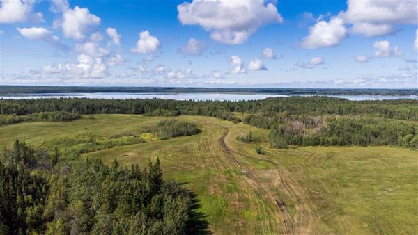 Sandy Lake rewilding: A collaborative effort for a sustainable future